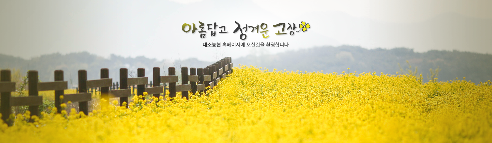 대소농협